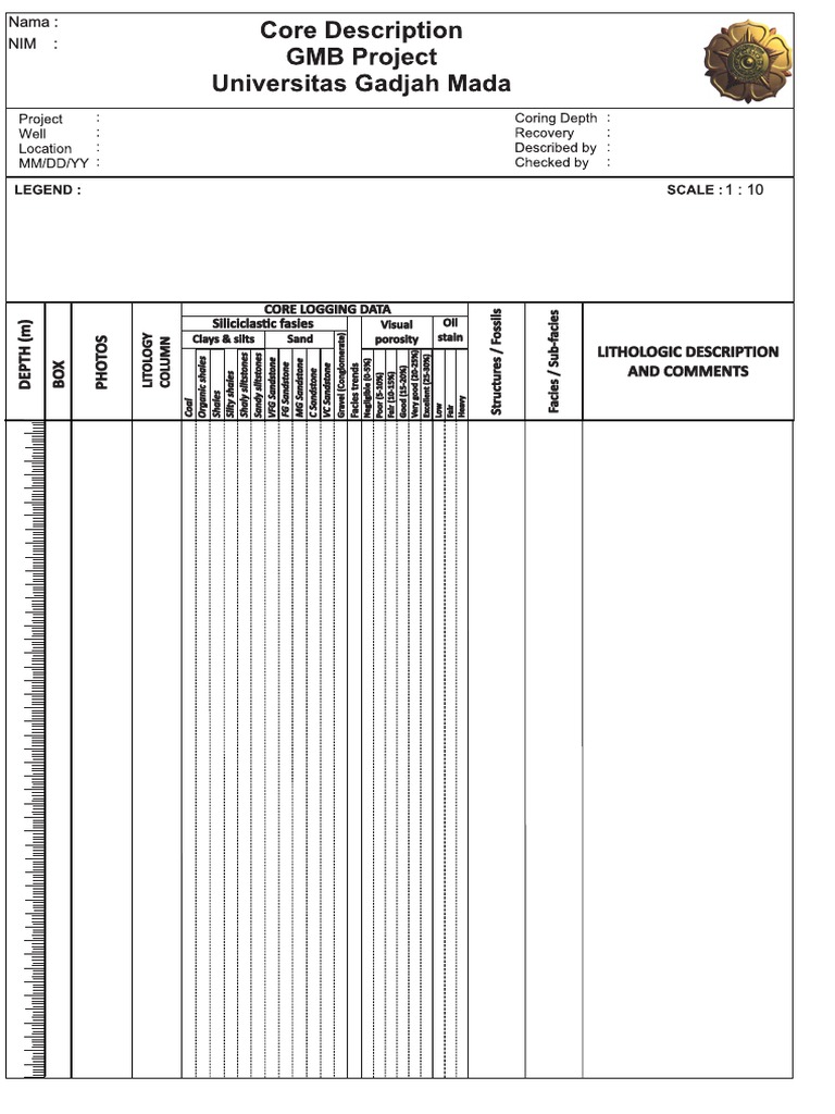 Core Logging Data Siliciclas C Fasies: Lithologic Description and ...
