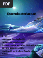 Biochemical Test and Identification of Staphylococcus Epidermidis | PDF ...