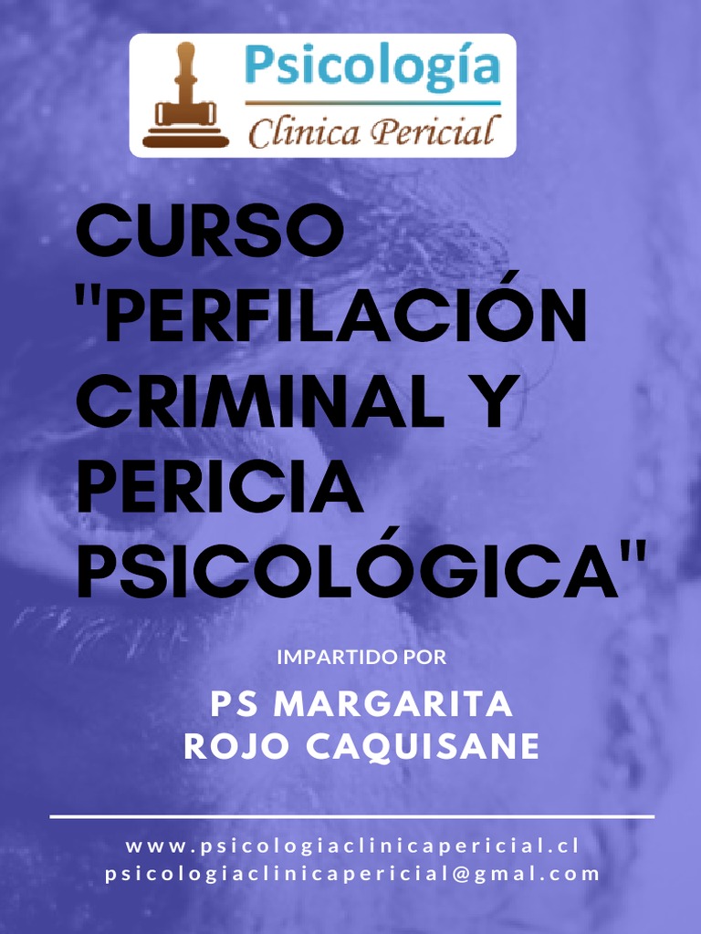 Programa Stgo v2 | PDF | Perfil del delincuente | Criminología