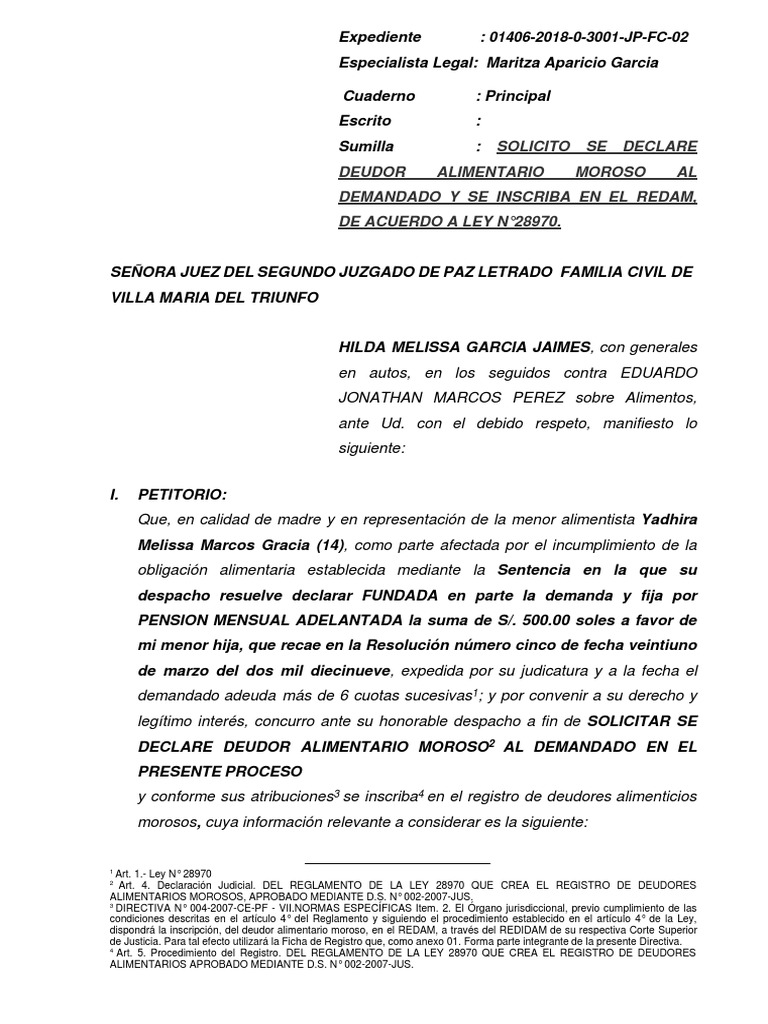 Redam Modelo | PDF | Manutención de los hijos | Gobierno