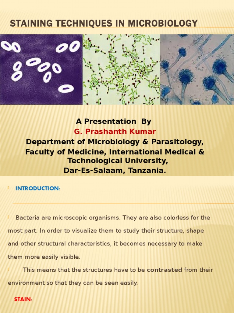 Micro.... Staining Techniques | PDF | Staining | Gram Positive Bacteria
