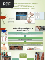 GUÍA de PROCEDIMIENTOS Control de La Diuresis | PDF | Vejiga urinaria ...