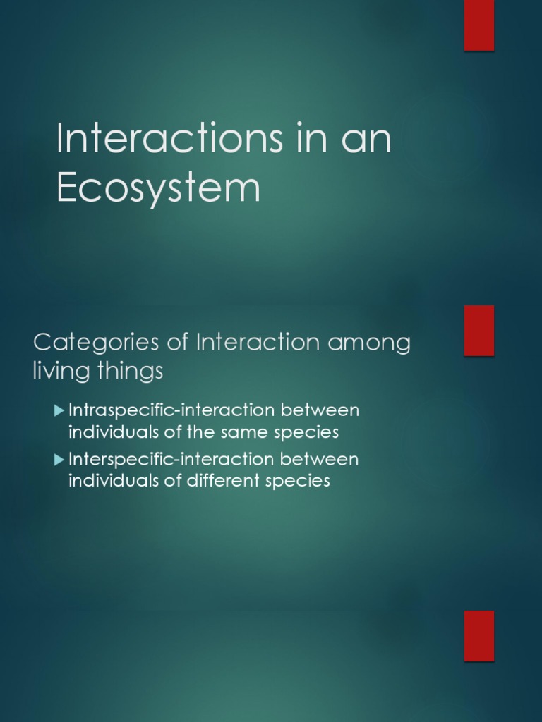 Ecological Relationships | PDF