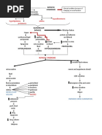 Acute Glomerulonephritis (AGN) Pathophysiology & Schematic Diagram ...