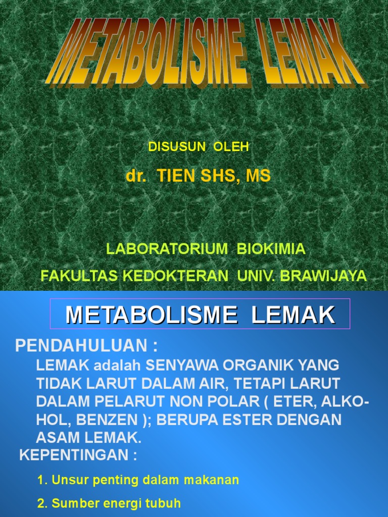 Metabolisme Lemak | PDF