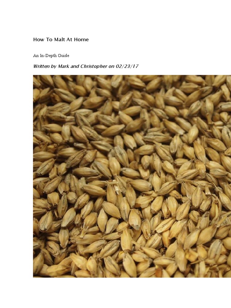 How To Malt at Home | PDF | Malt | Food And Drink Preparation