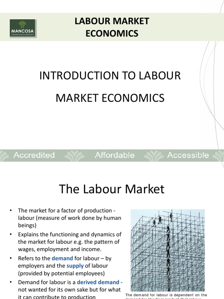 Labour Market Dynamics Explained | PDF | Labour Economics | Employment