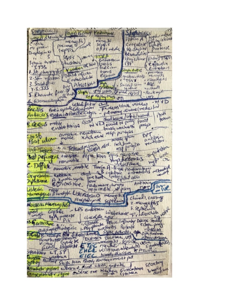 Microbiology Cheat Sheet Gram Positive | PDF