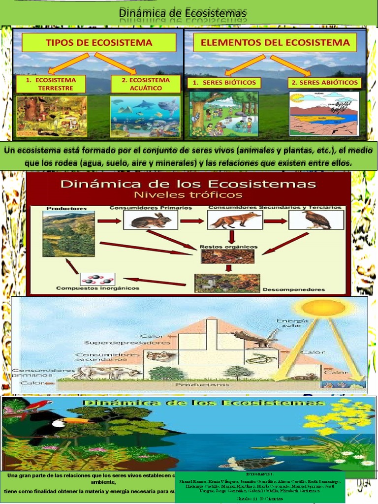 Dinámica de Ecosistemas y Nutrición | PDF | Salud y bienestar | Ciencia ...