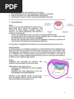 Textbook of Human Embryology | PDF