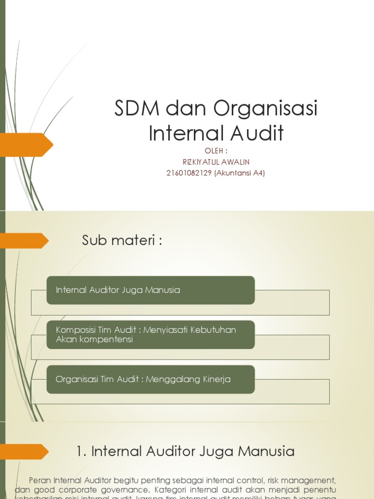 SDM Dan Organisasi Internal Audit | PDF | Bisnis