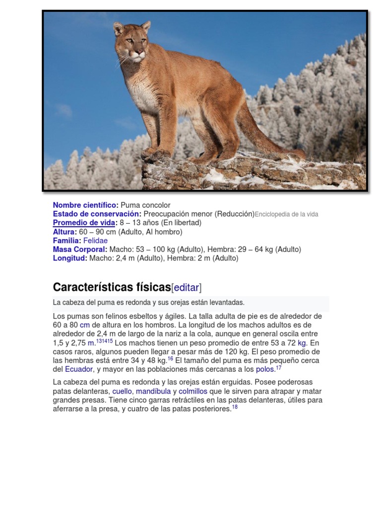 El Puma | PDF | Puma | Organismos