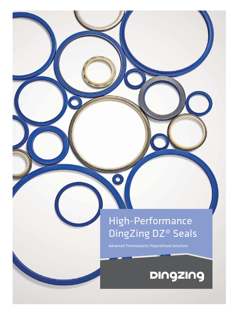 Catalogue - DingZing DZ Seals Catalogue-E-S | PDF | Polymers | Building Engineering