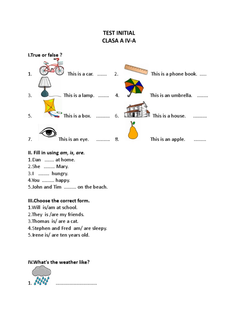 Test Initial Engleza Clasa A 4 A | PDF
