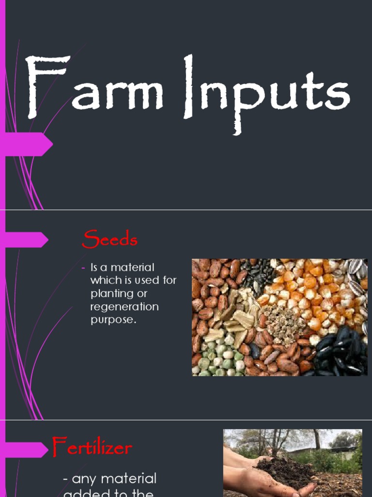 Examples of Farm Inputs Explained | PDF