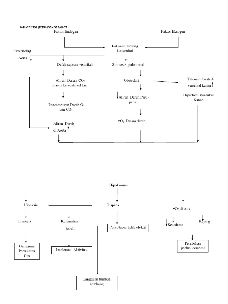 Tetralogi Fallot: Gejala & Faktor | PDF