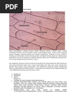 Pengamatan Sel Gabus Singkong | PDF | Griya & Taman