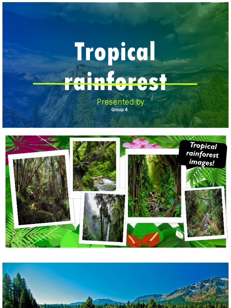 Tropical Rainforest Presented By Pdf Rainforest Tropics