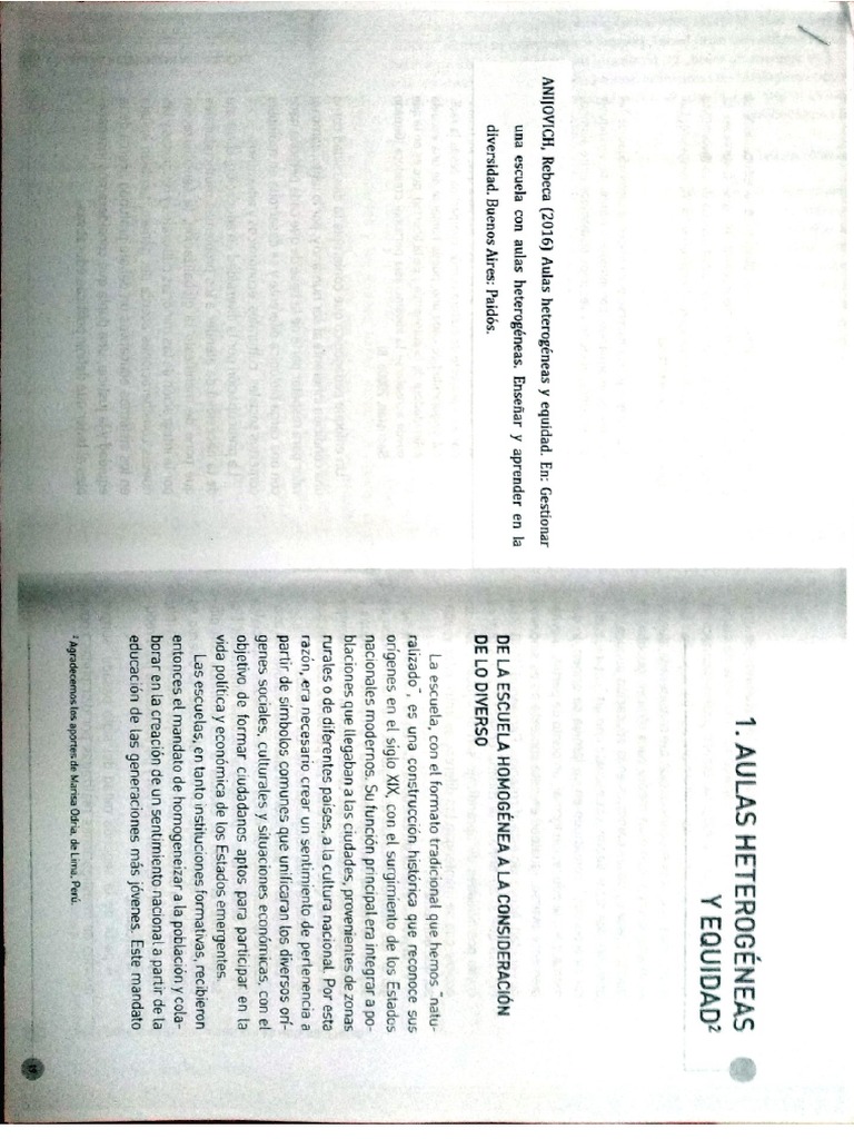 Aulas Heterogeneas | PDF