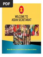 ASEAN Organizational Structure | PDF | Internal Audit | Economies