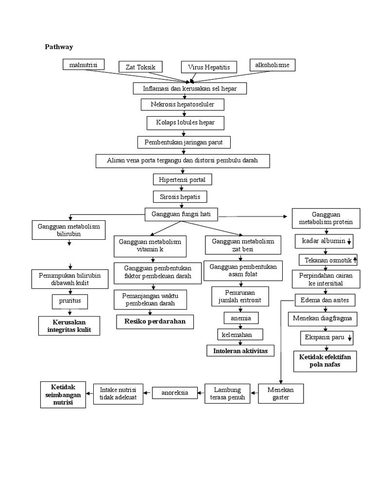 Pathway Sirosis Hepatis | PDF