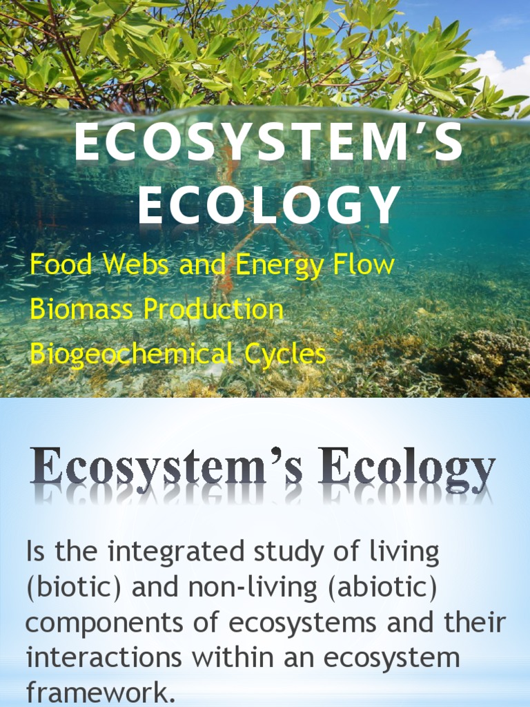 Ecosystem'S Ecology: Food Webs and Energy Flow Biomass Production ...