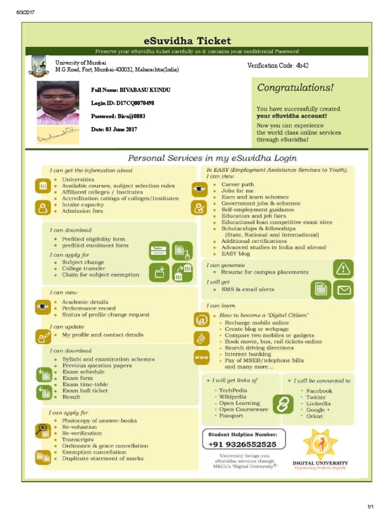 Sample of E-Ticket | PDF