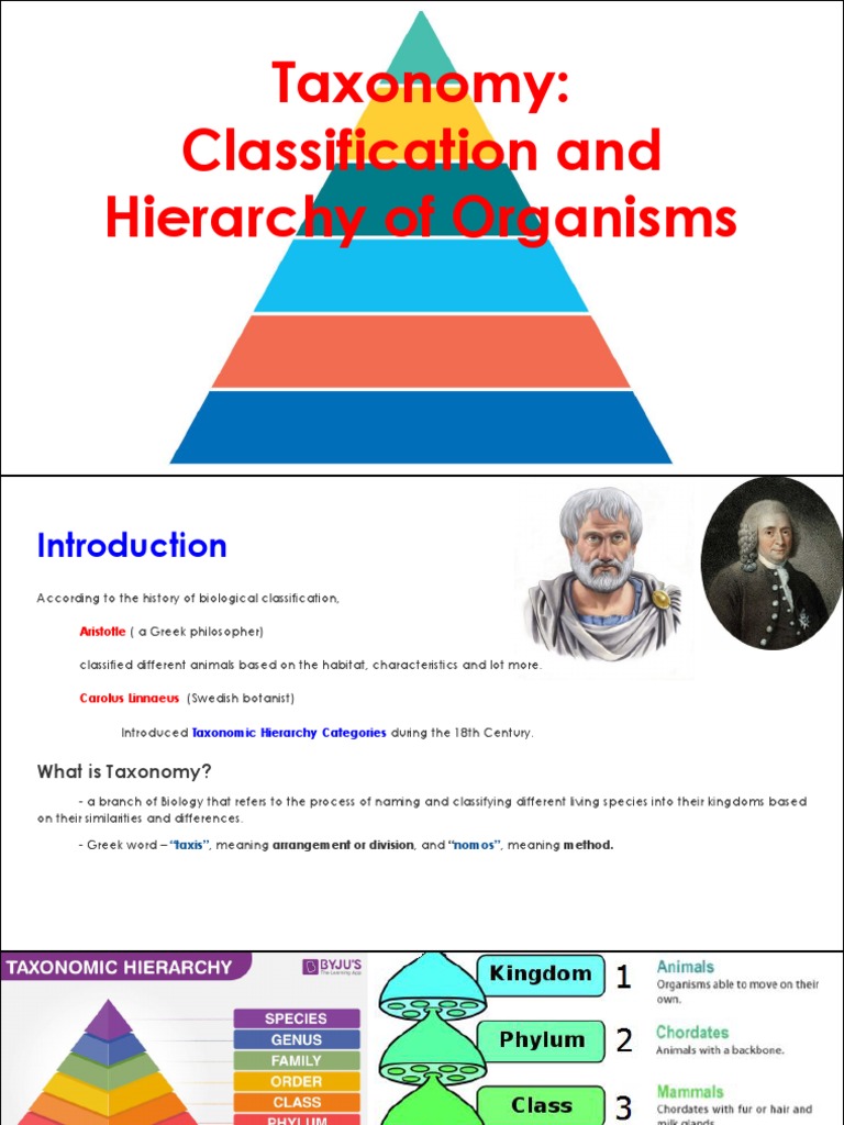 Taxonomy - Classification and Hierarchy of Organisms PDF | PDF ...