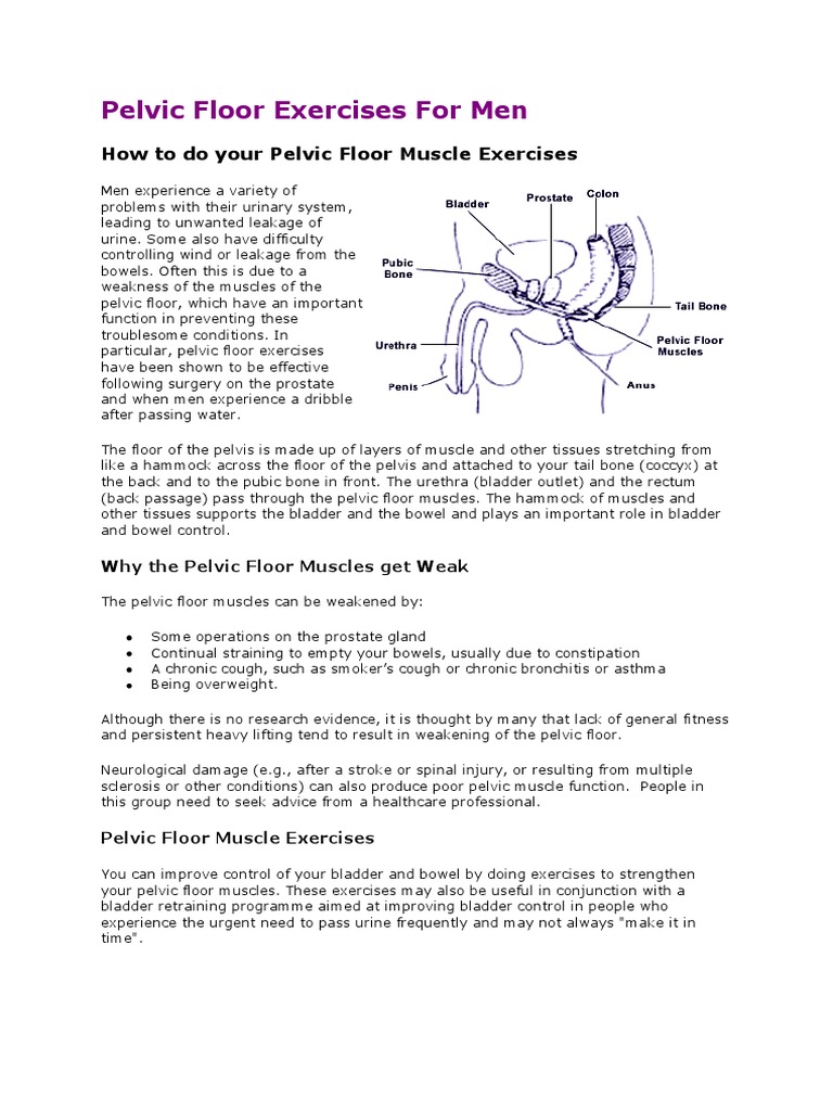 Pelvic Floor Exercises | PDF | Urinary Incontinence | Pelvis