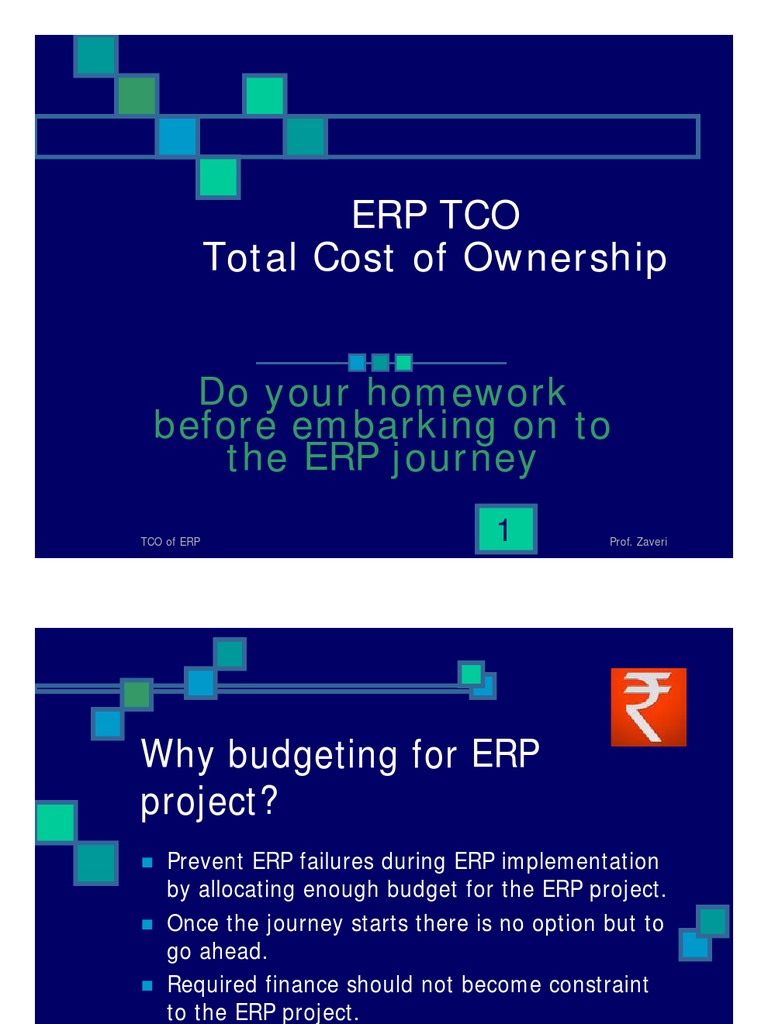 ERP Total Cost of Ownership - TCO | PDF | Total Cost Of Ownership ...