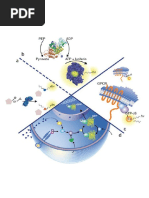 Simbolos OMI | PDF | Naturaleza