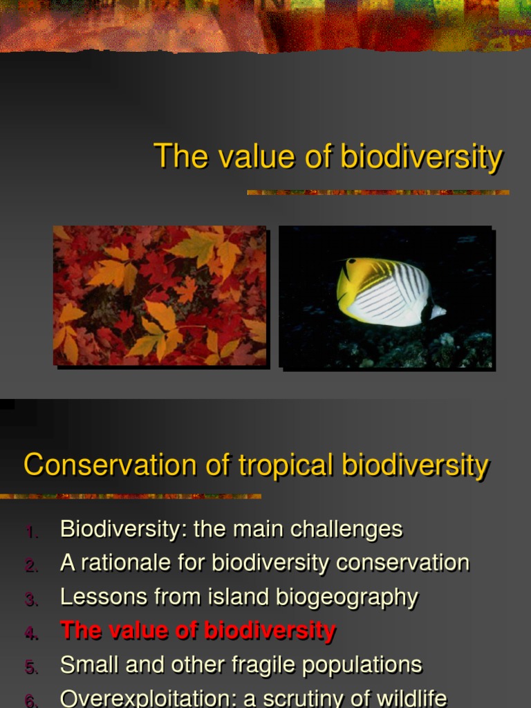 The Economic and Ethical Values of Biodiversity Conservation | PDF ...