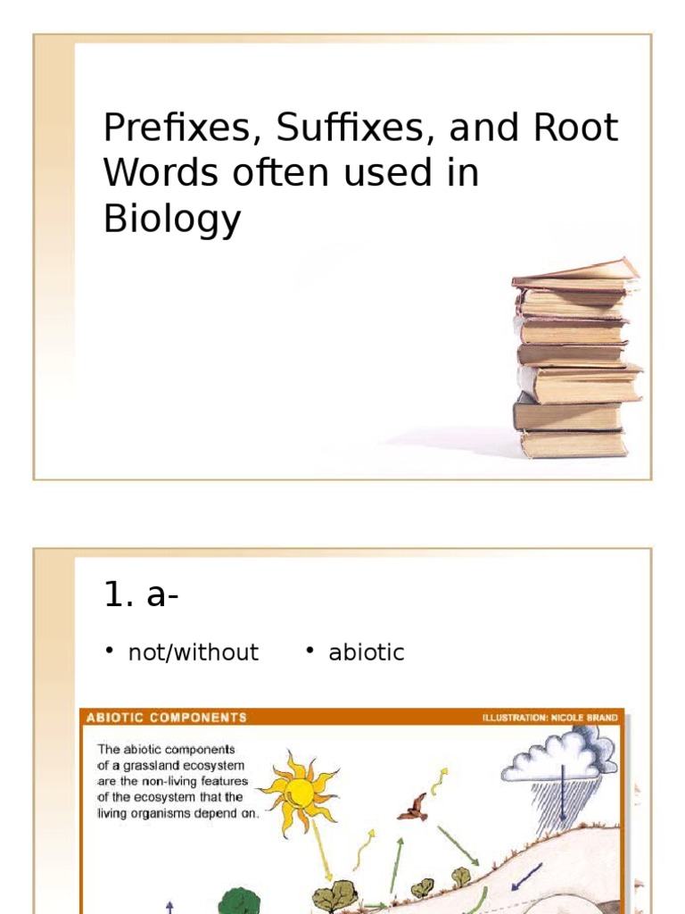 Prefixes Suffixes and Root Words Often | PDF | Biology | Organisms