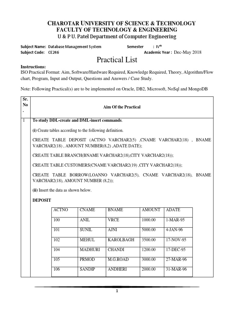 Practicals Pdf Databases Computer Data 
