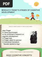Jean Piaget Lesson Plan | PDF | Cognitive Development | Schema (Psychology)