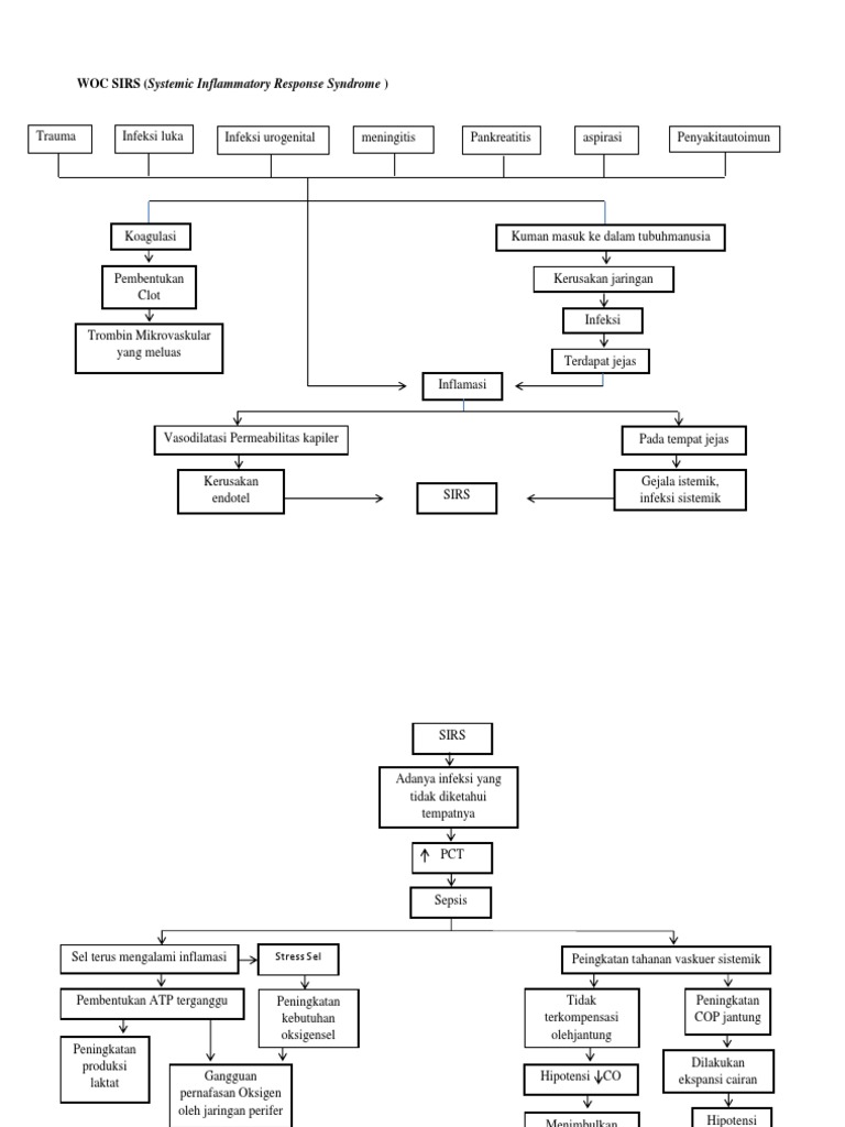 Pathway SIRS | PDF