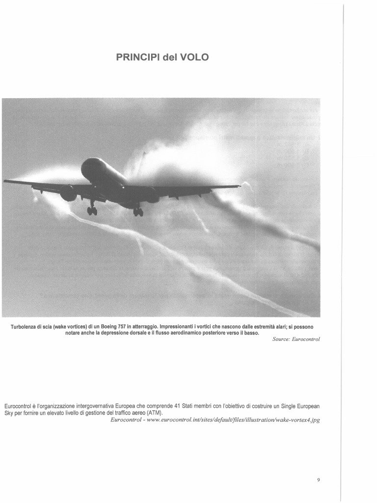 1 - Principi Del Volo | PDF