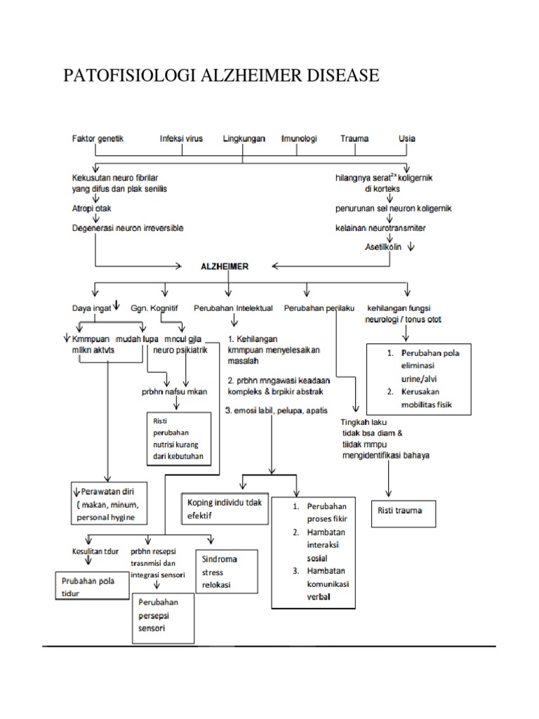 Schematic Diagram Of Pathophysiology Of Alzheimer& 39 Pathop