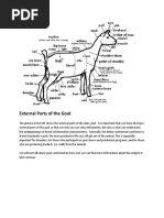 Digestive System of Goats | PDF | Ruminant | Digestion