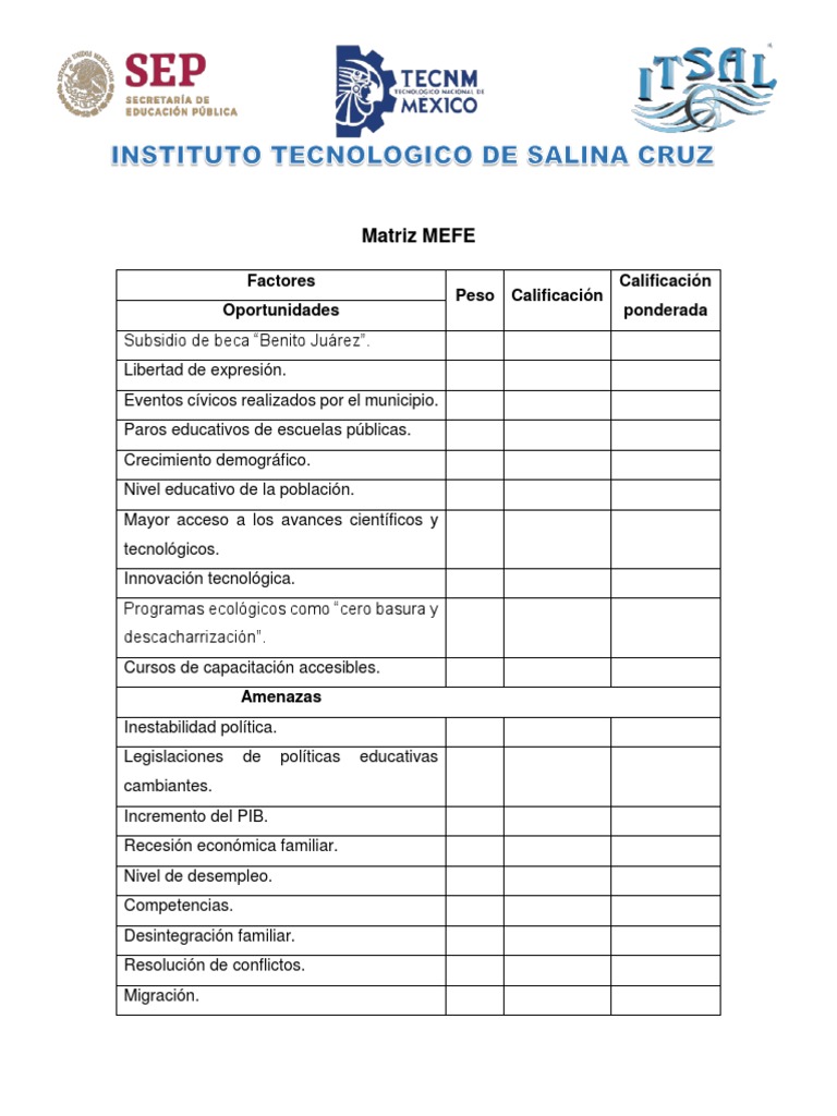 Matriz MEFE | PDF