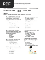 Prueba de Ciencias Sistema Esqueletico y Muscular | PDF | Articulación ...