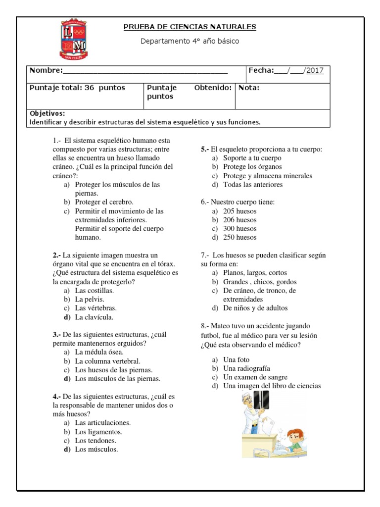 Prueba Sistema Esqueletico | PDF | Hueso | Articulación