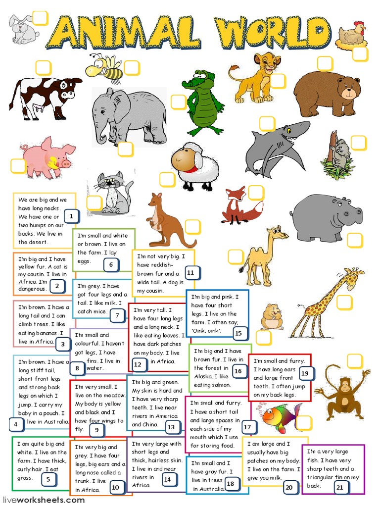 Animal World PDF | PDF | Nature