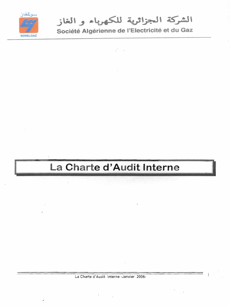 Charte Audit | PDF | Audit interne | Audit