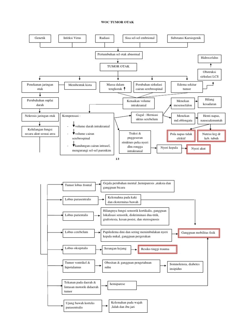 Woc Tumor Otak | PDF