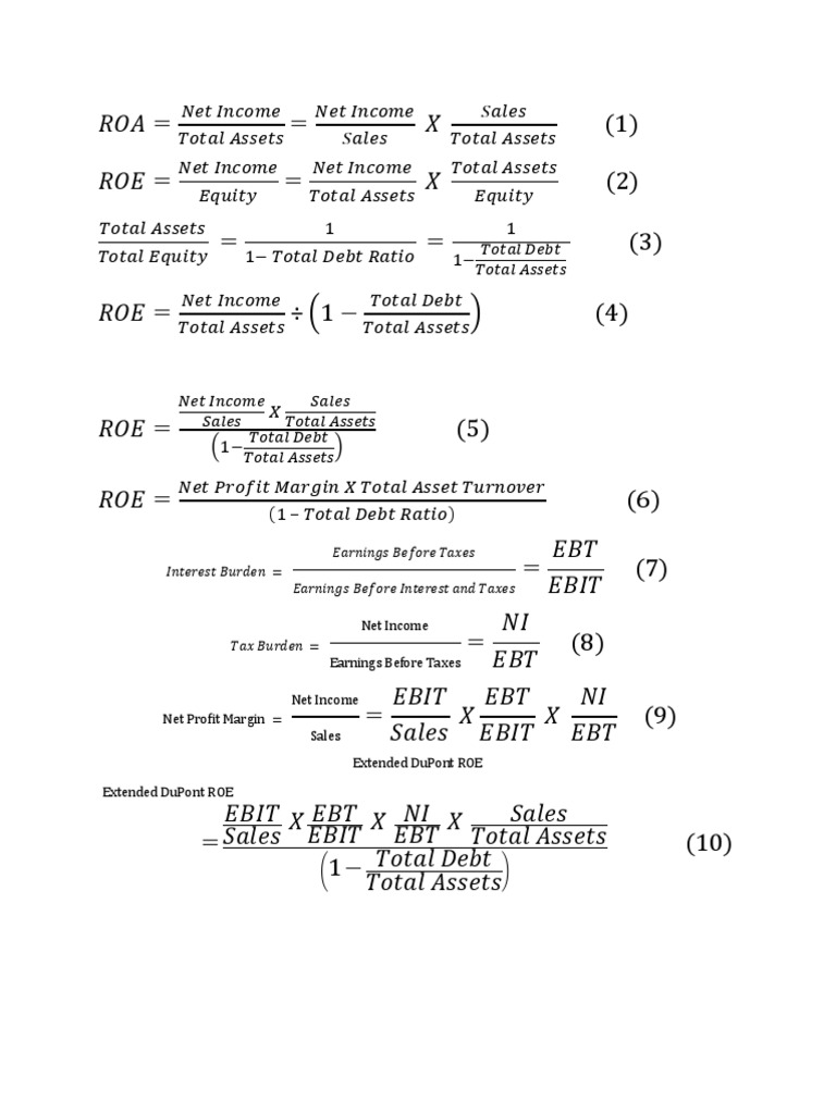 Net Income Earnings Before Taxes Net Income Sales Extended Dupont Roe ...