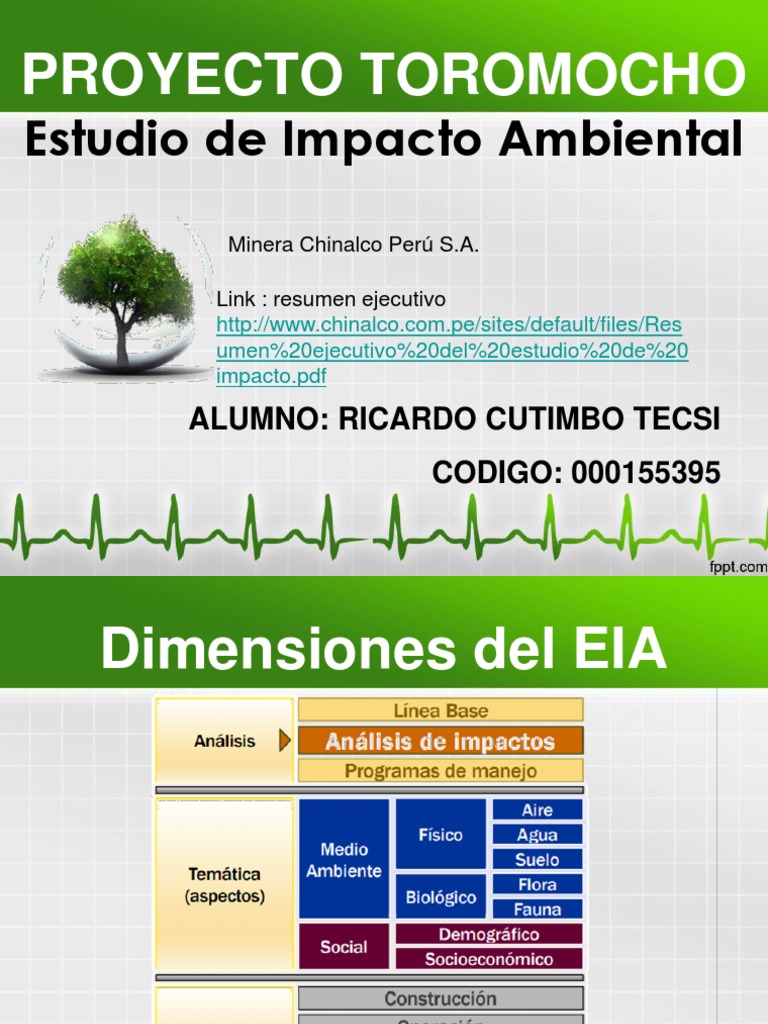 Eia Proyecto Toromocho | PDF | Minería | Evaluación de impacto ambiental