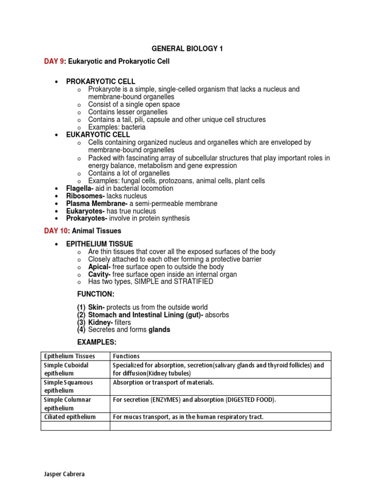 General Biology 1: Eukaryotic and Prokaryotic Cell | PDF | Tissue ...