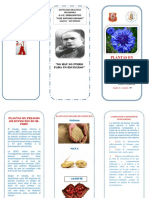 Catálogo de productos Ascale | PDF | Entorno natural | Economía y medio ...