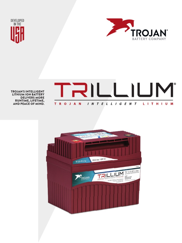 Trillium Brochure | PDF | Battery Charger | Energy Storage
